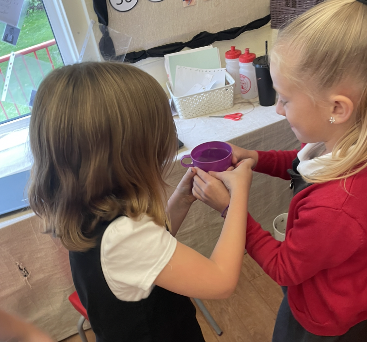 Red Hall Primary and Strive | Year 2