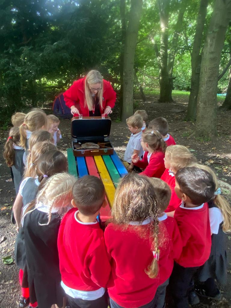 Red Hall Primary and Strive | Year 1